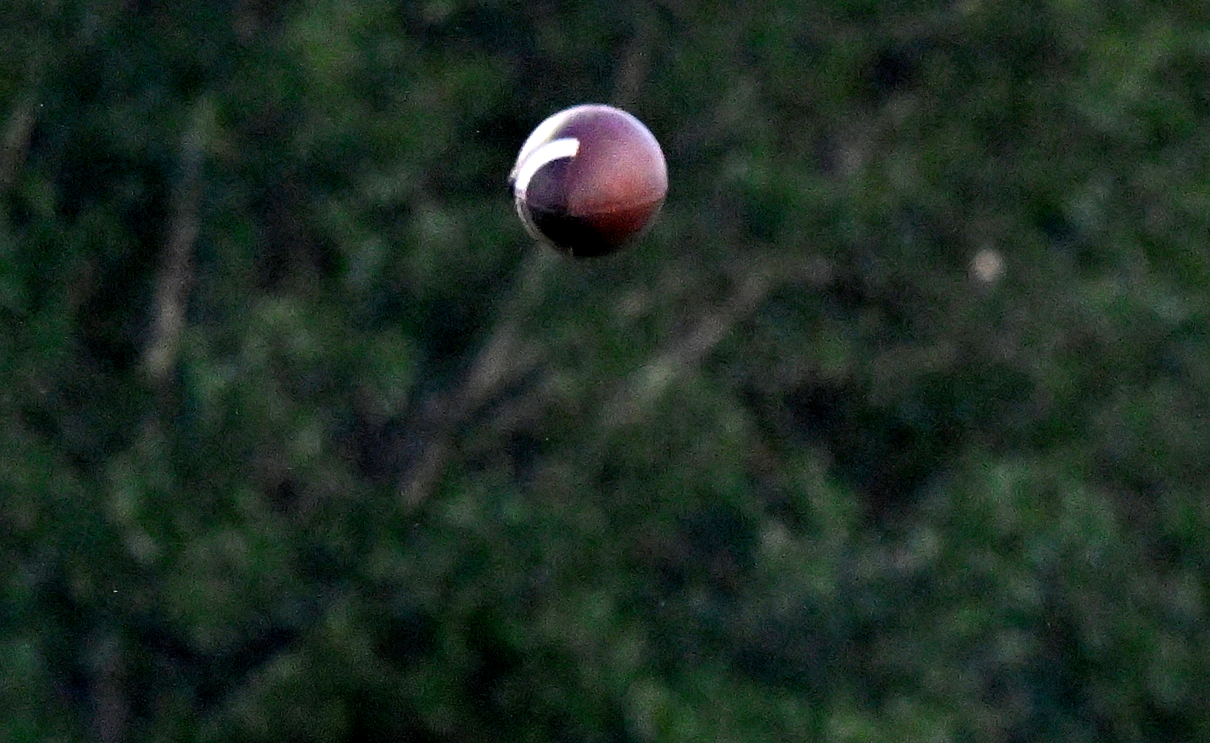 This week’s scoreboard – E.A. Sports Today